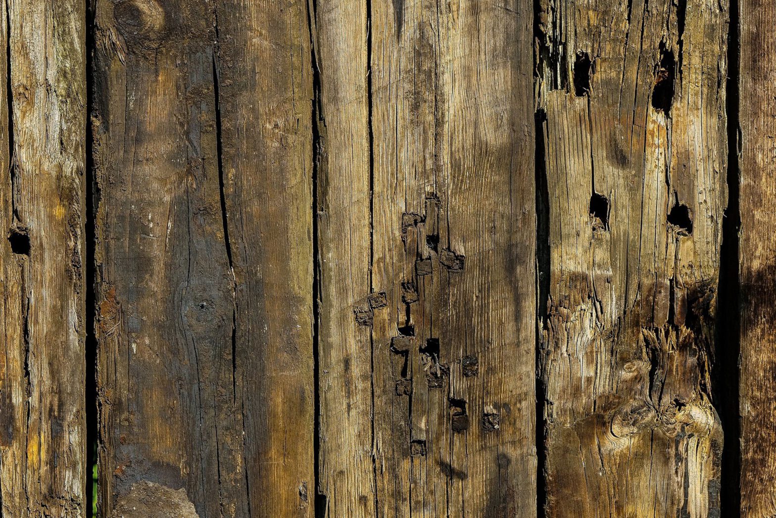 The Boy and the Fence – Coco Brooks Inc