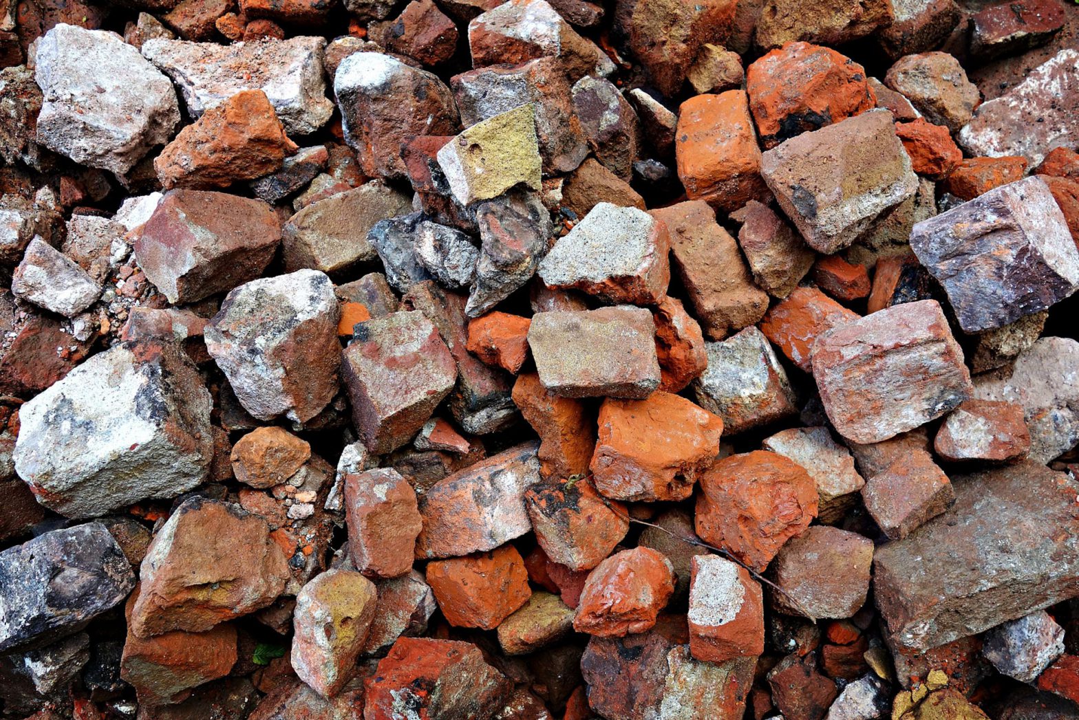 The Brick – Coco Brooks Inc